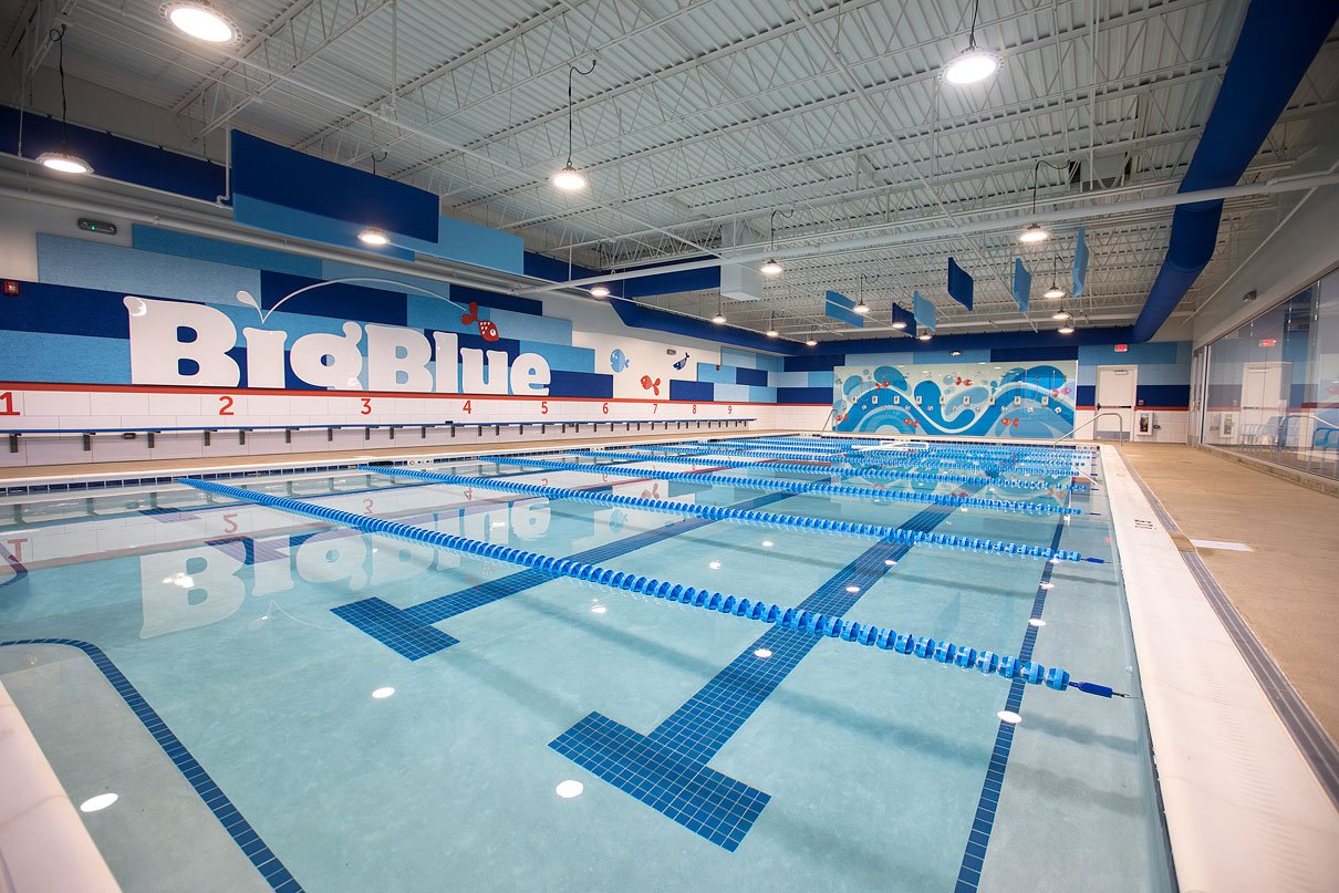Adaptive Reuse Spotlight: Big Blue Swim School - ARCO/Murray