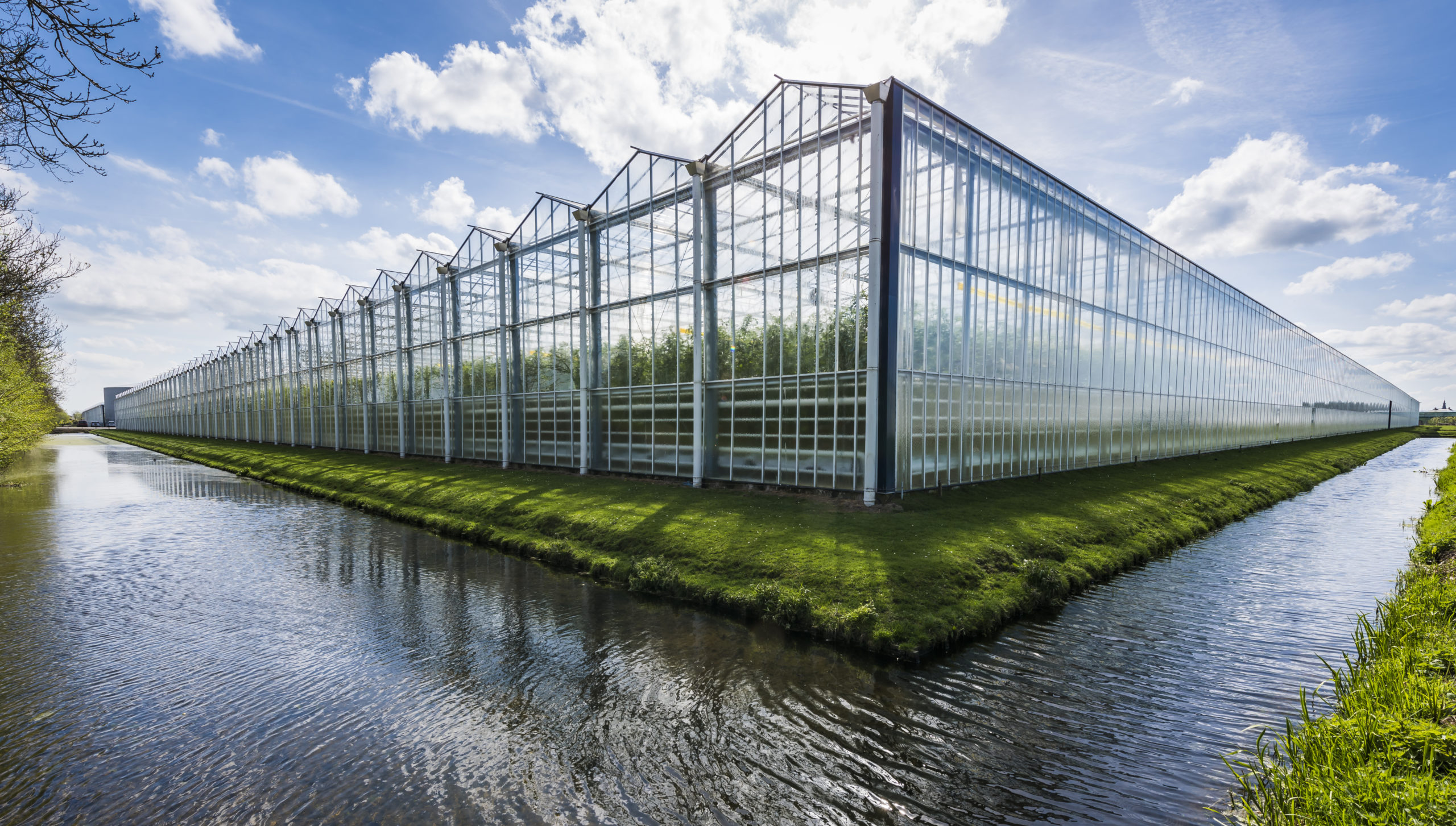 Constructing Cannabis Cultivation, Processing and Manufacturing Facilities Constructing Cannabis Cultivation, Processing and Manufacturing Facilities