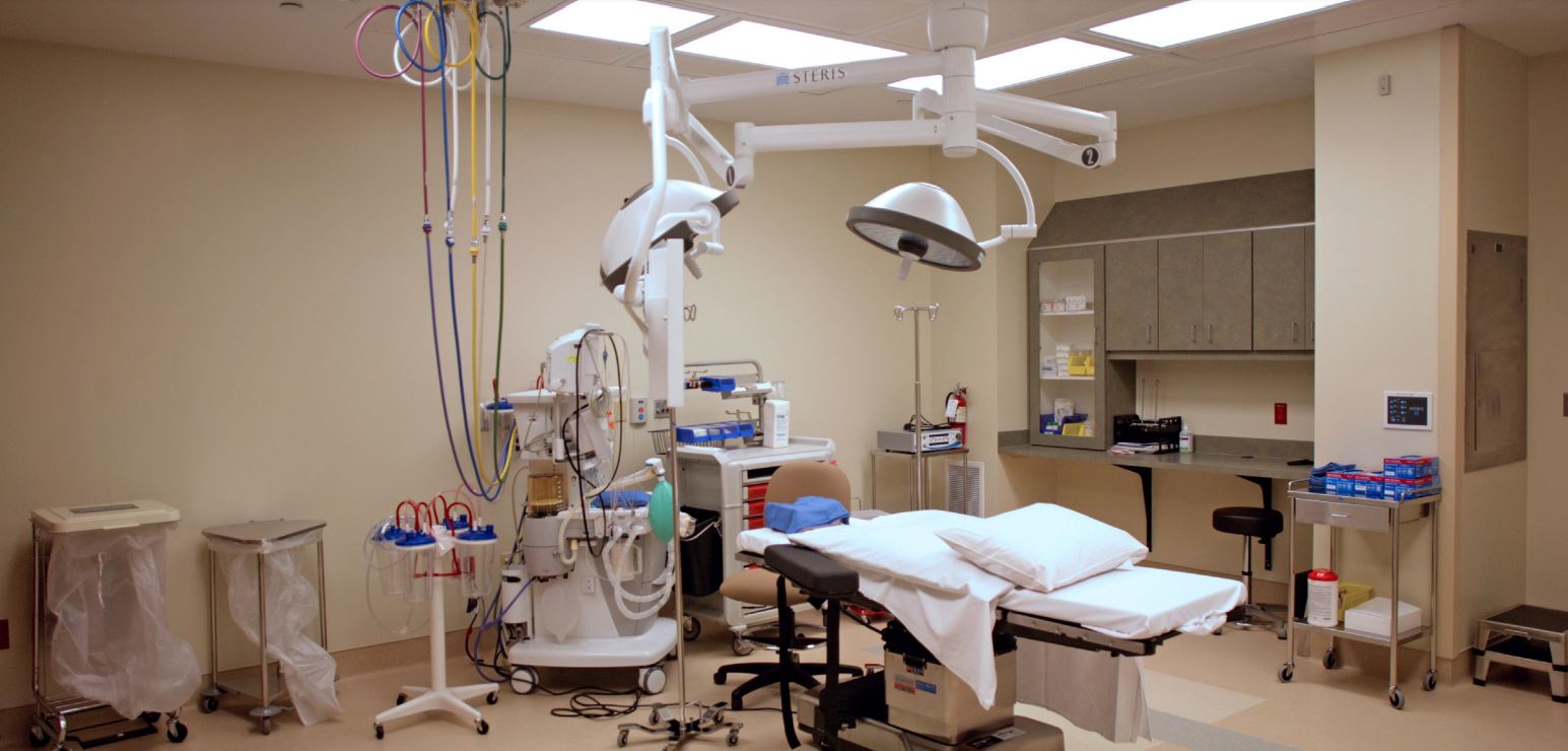Amelia Island Surgery Center - ARCO/Murray
